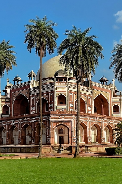 Robin Williams Product Designer